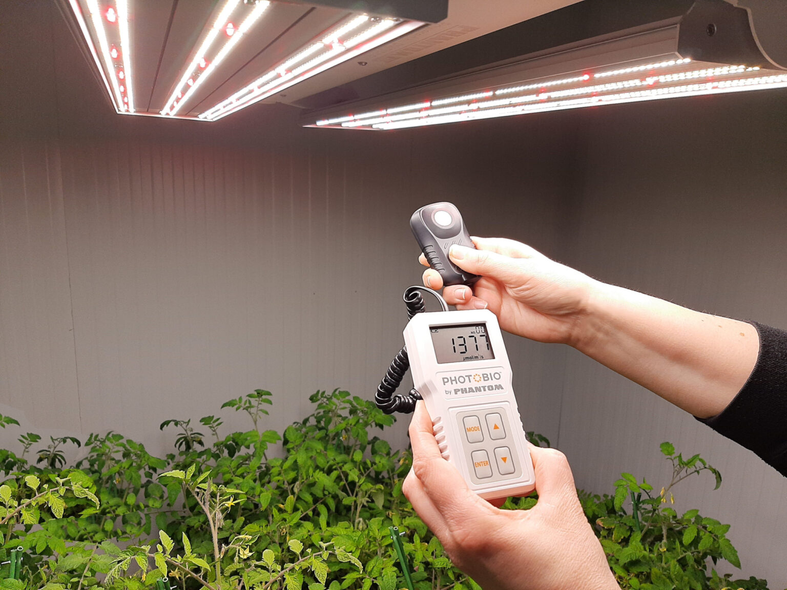 QUANTUM Advanced PAR Meter | Hydrofarm Europe